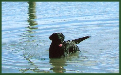 Lobuff History - Females page 2