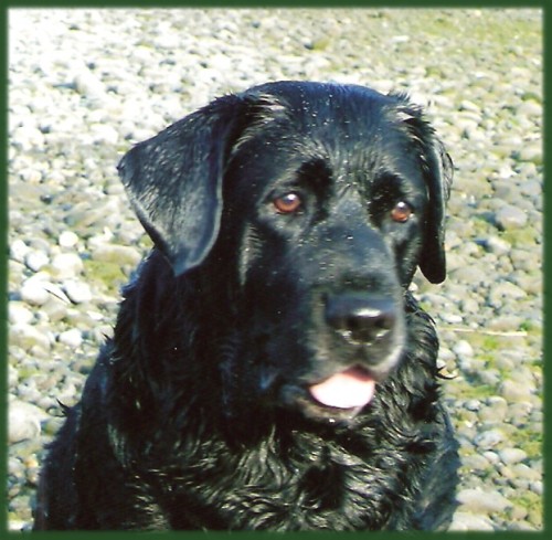 Lobuff History - Females page 2